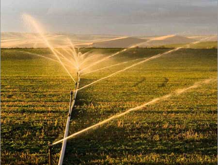 Irrigation & Fertigation Systems | Sashanka Agro