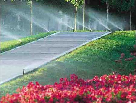 Overhead Sprinkler Irrigation System | Sashanka Agro