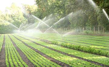 Irrigation & Fertigation Systems | Sashanka Agro